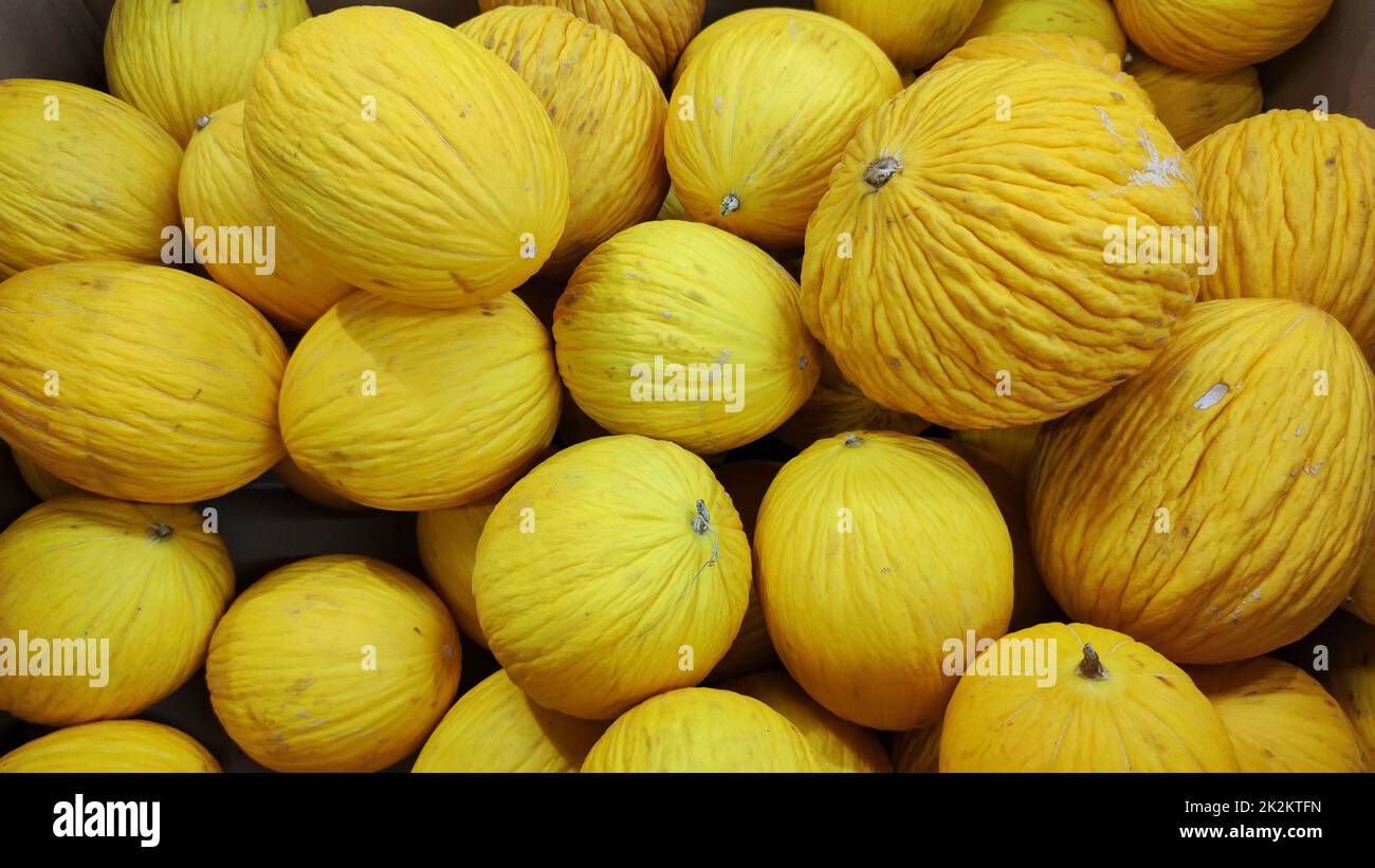 Ripe melons, background for the sale of fruits Stock Photo - Alamy