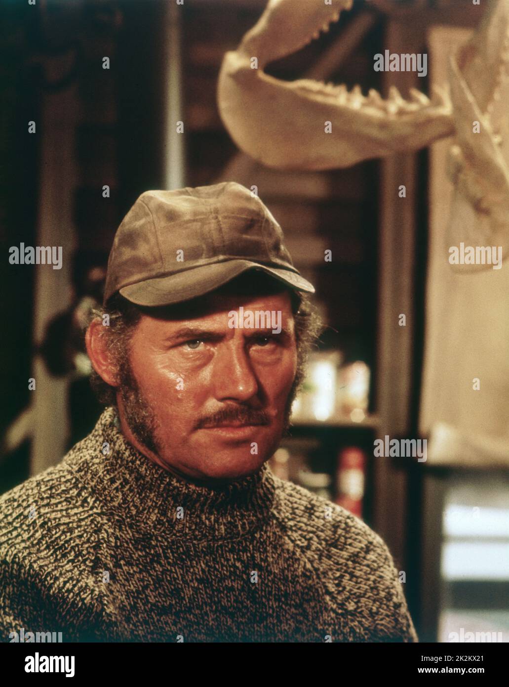 1975 usa director steven spielberg robert shaw hi-res stock photography and images - Alamy