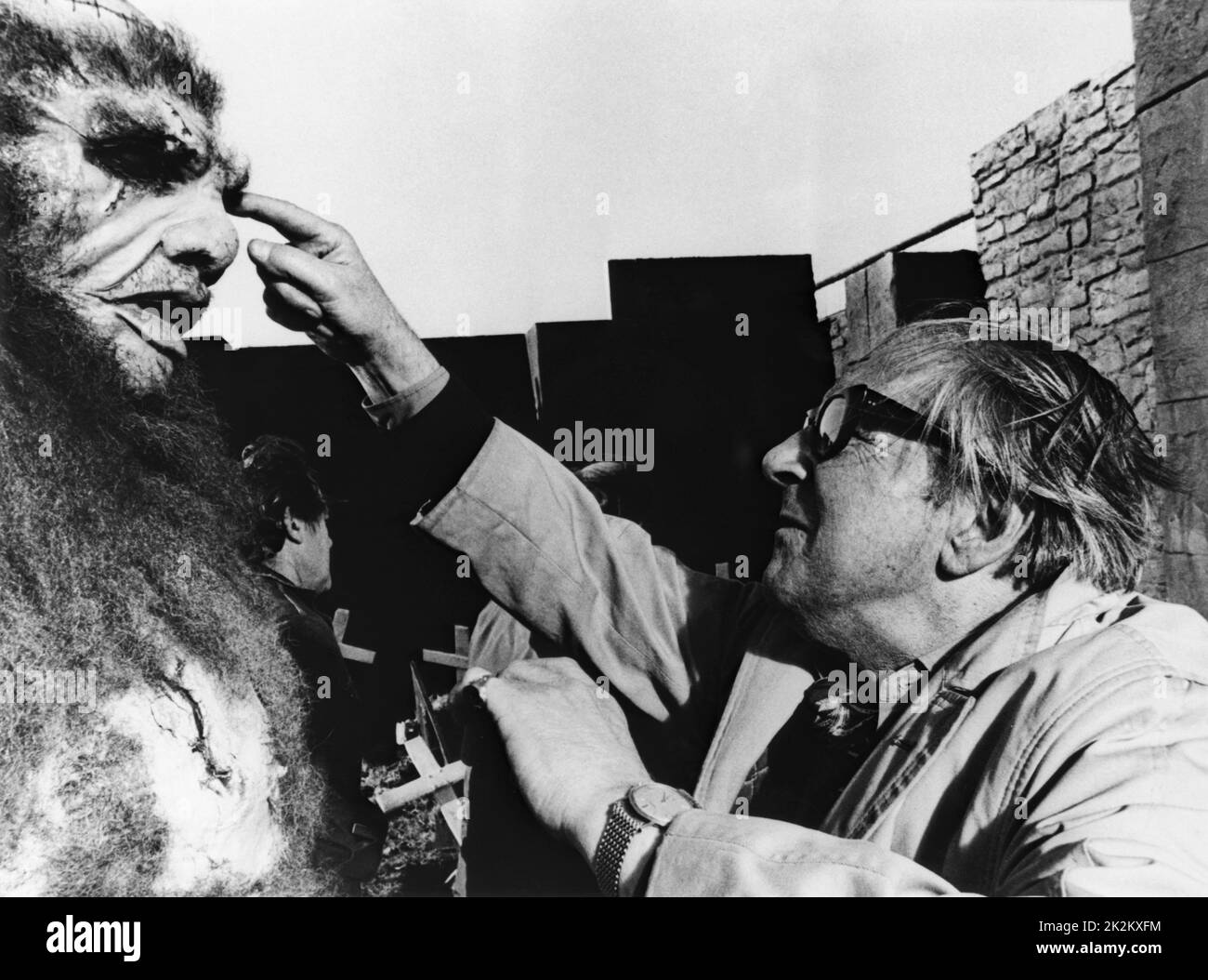 Frankenstein and the Monster from Hell Year: 1974 UK Director:Terence ...