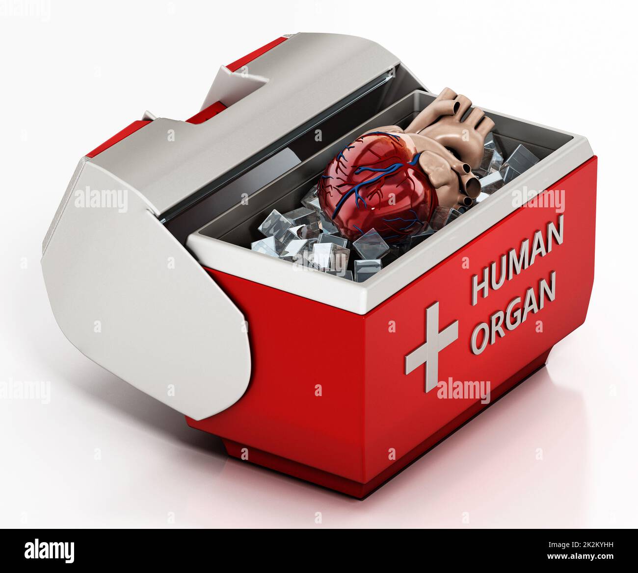 Human heart inside box isolated on white background. 3D illustration ...