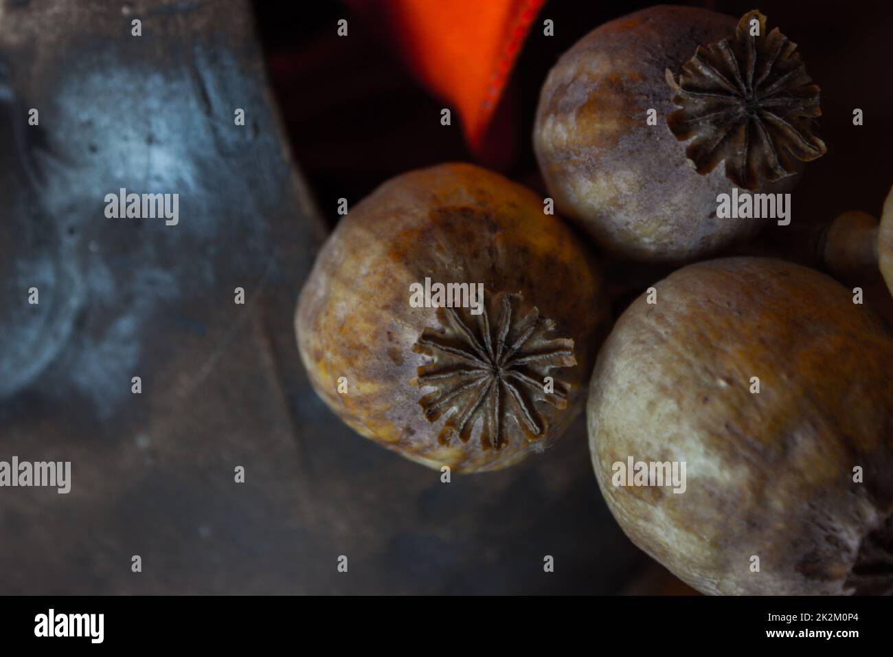 Poppy head hi-res stock photography and images - Alamy