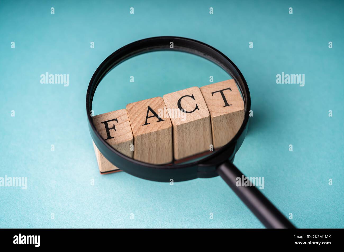 Fact Business Marketing Strategy Text Word Stock Photo - Alamy