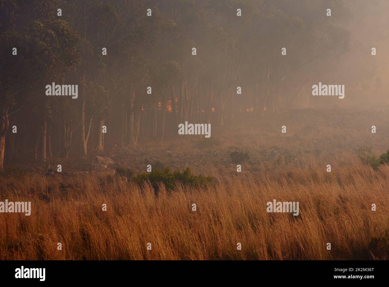 Burning in the distance. a wild fire burning in the distance Stock ...