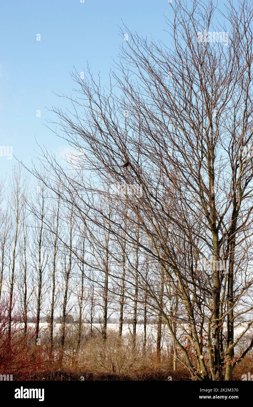 Autumn in the colors of autumn. An early spring photo with great ...