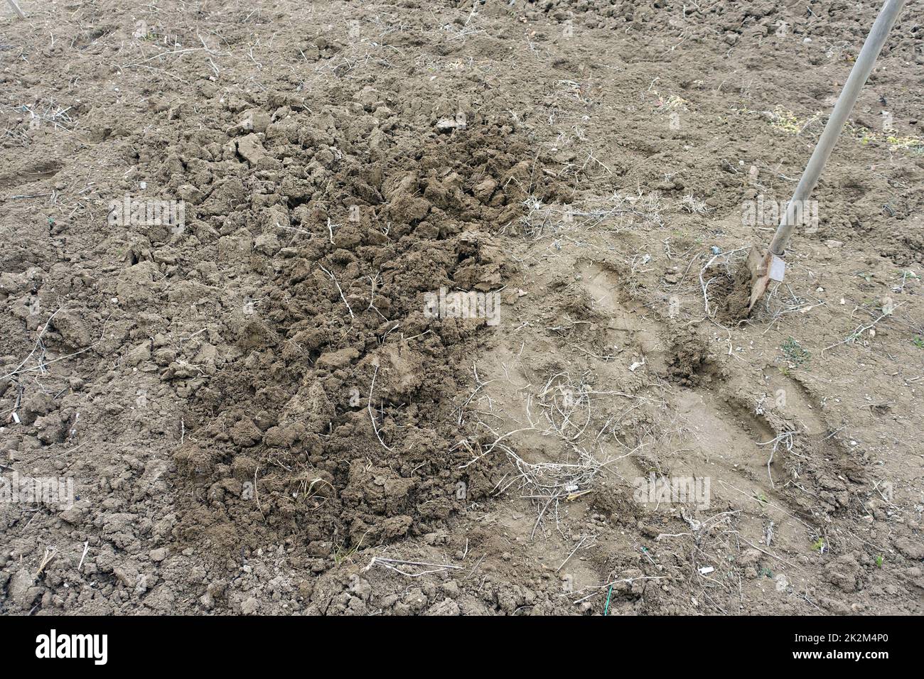 digging the garden area for planting with a digging shovel, digging ...