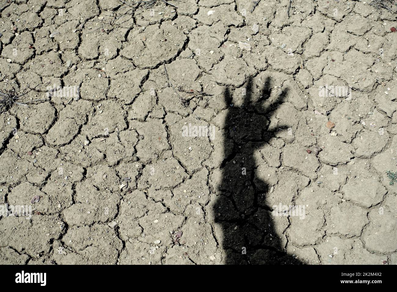 Cracking and splitting of soils due to thirst-soil erosion and drought ...