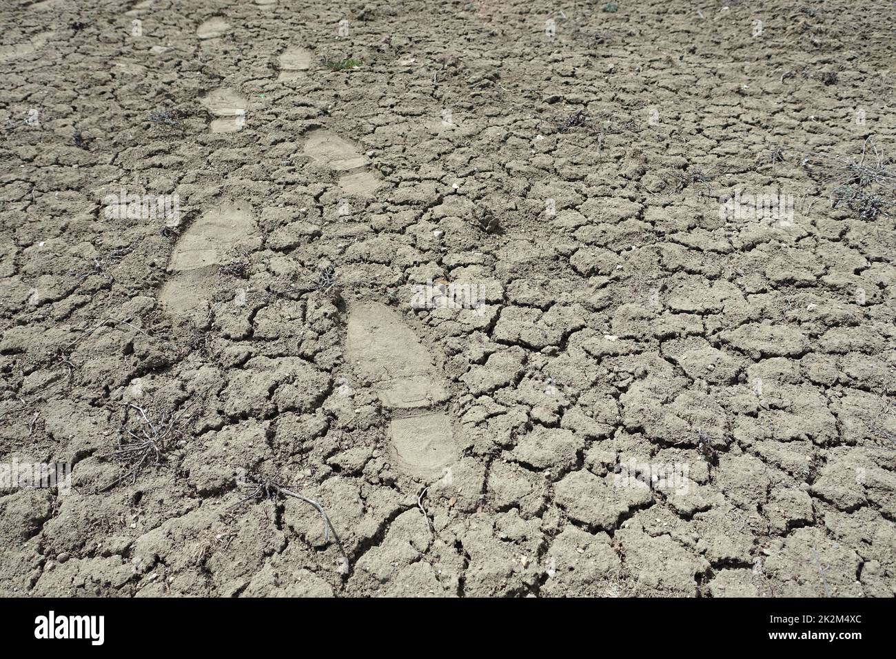 human footprints walking on cracked and cleft soils, human shoe prints ...