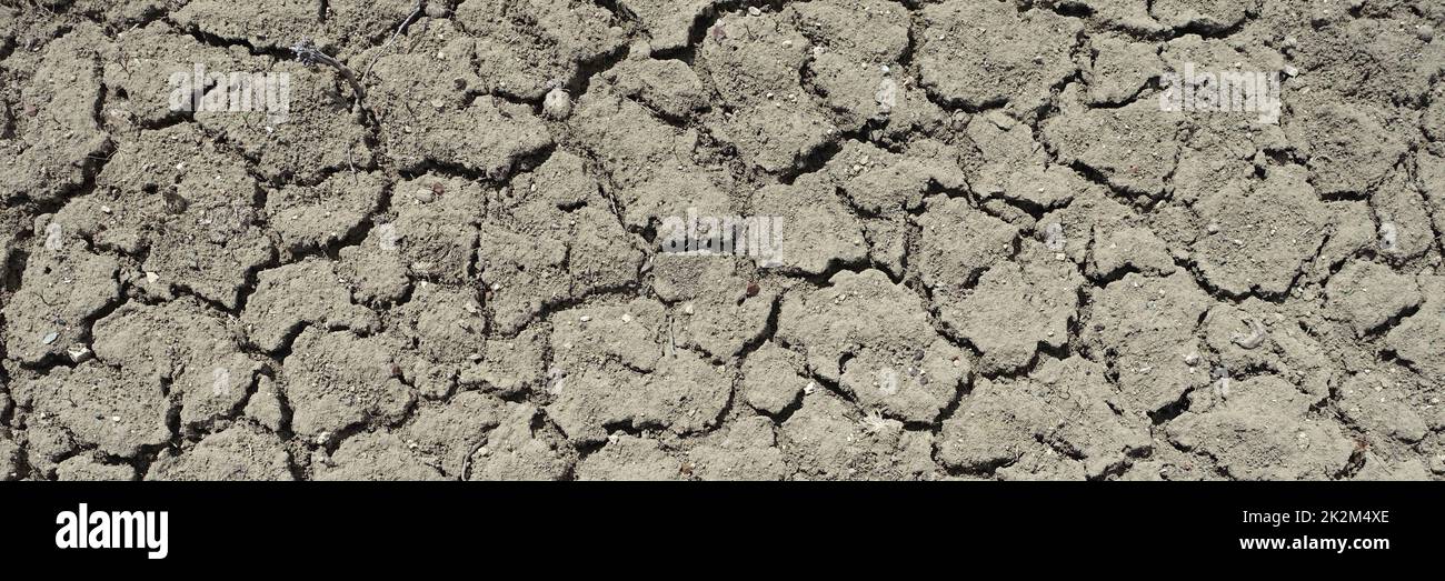 Cracking and splitting of soils due to thirst, drought problem in the ...