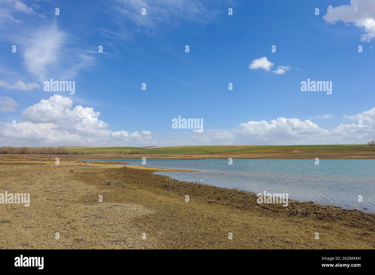 the arrival of spring and the awakening nature landscape-lake and ...