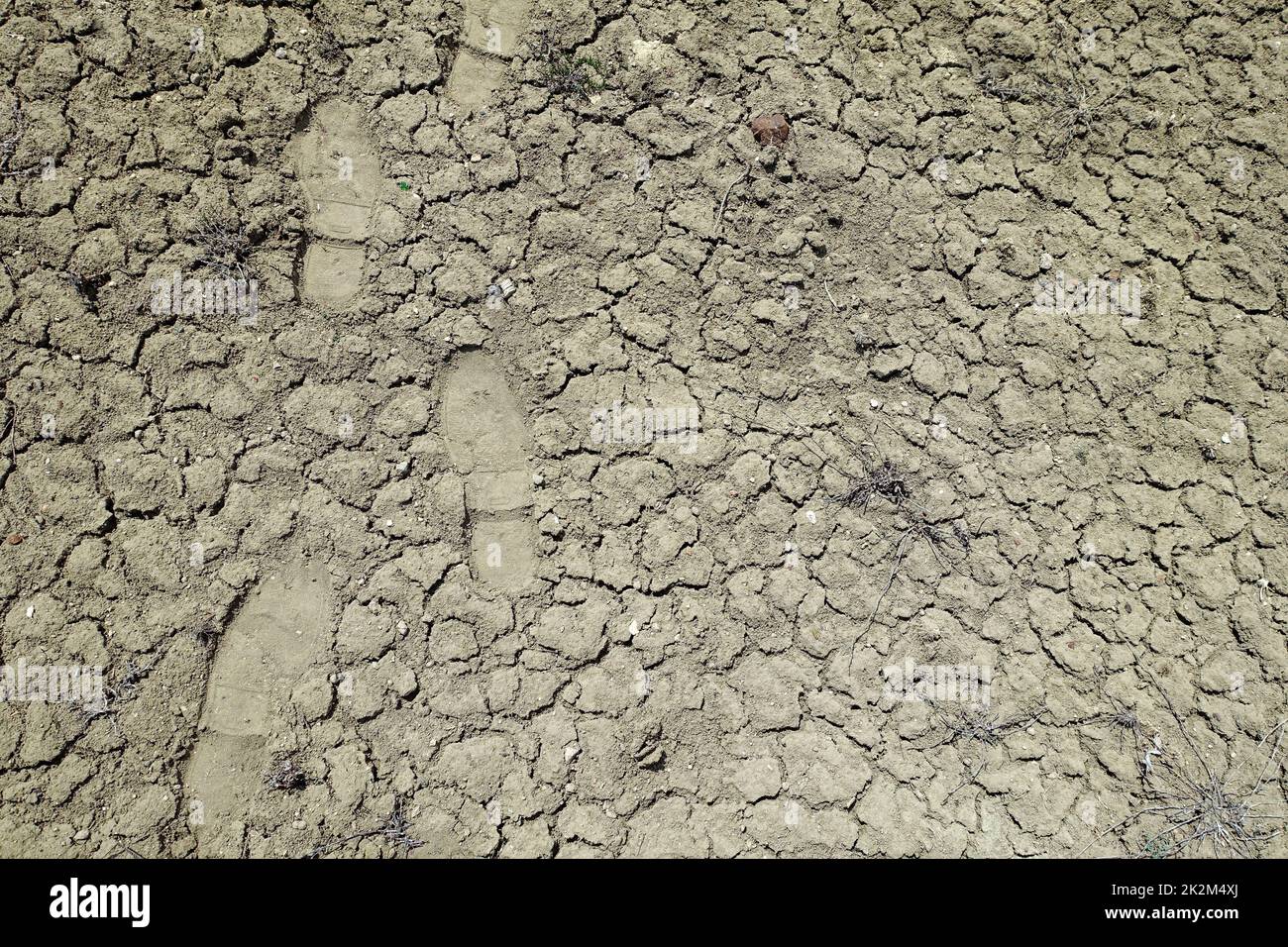 human footprints walking on cracked and cleft soils, human shoe prints ...