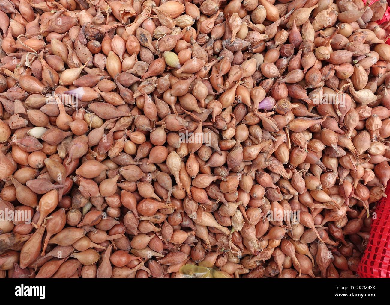 Unpackaged shallot onions sold in cloth bags, shallot seeds for ...