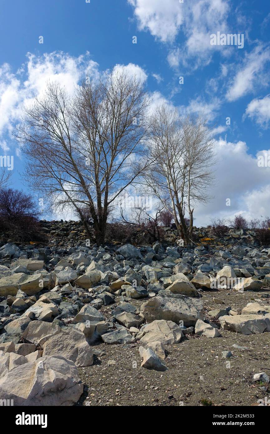 large boulders placed in front of the ponds, large rocks that act as ...