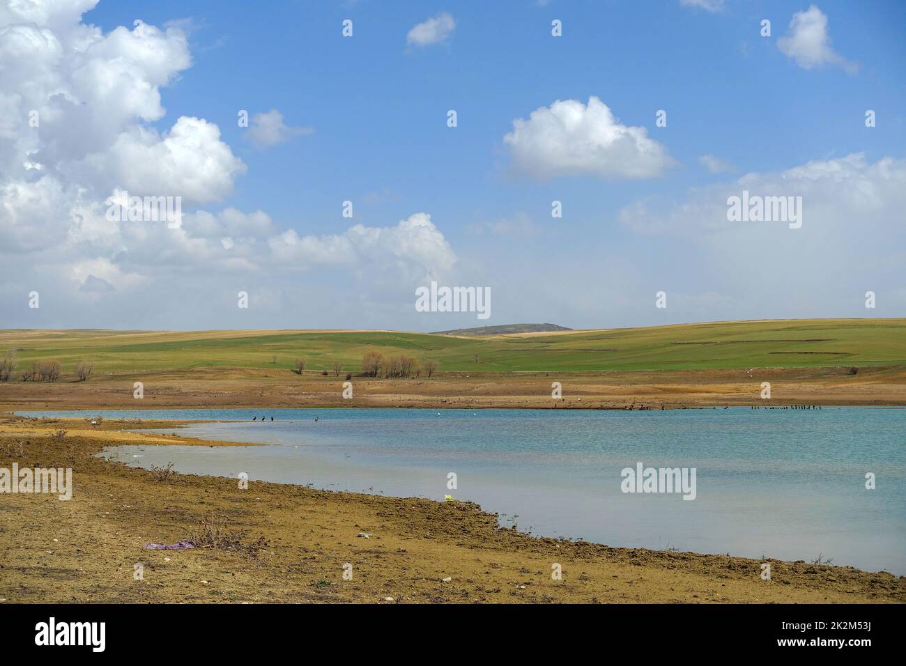 birds flying in the sky and clouds, sky and flying birds scenery Stock ...