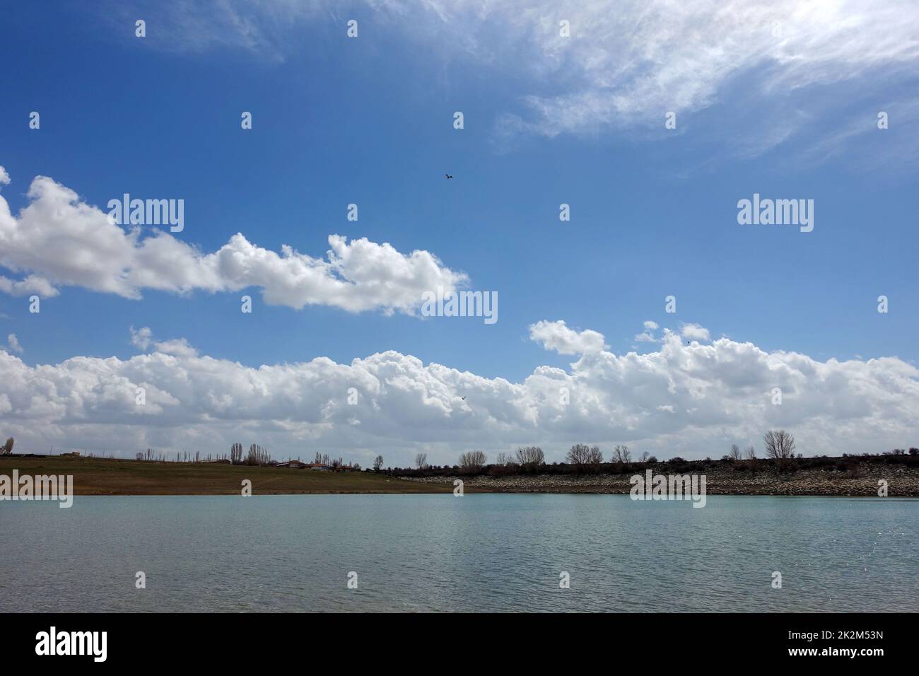 birds flying in the sky and clouds, sky and flying birds scenery, birds ...