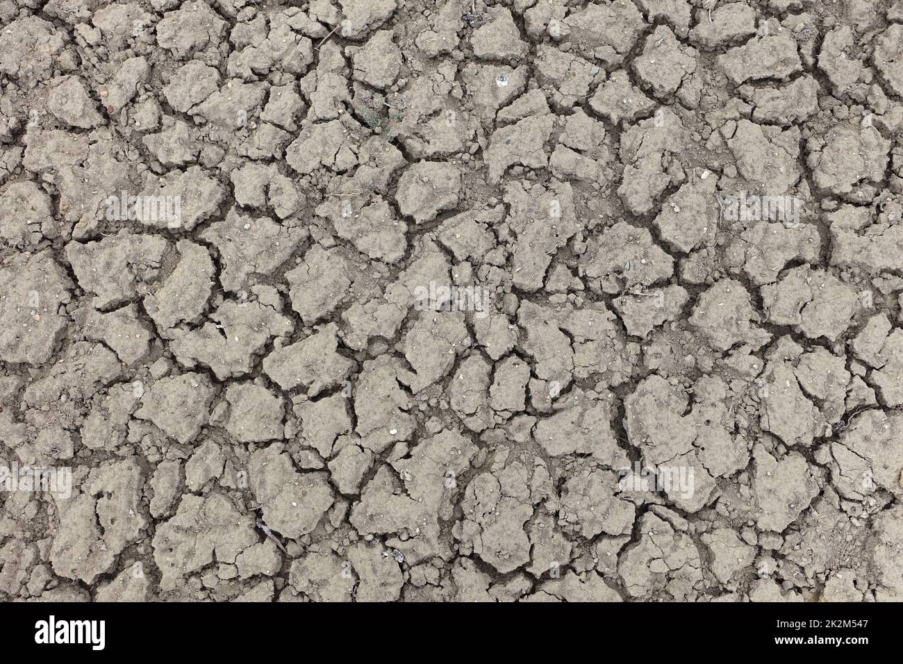 rapidly drying world-cracked and fissured soils-drought as a result of ...