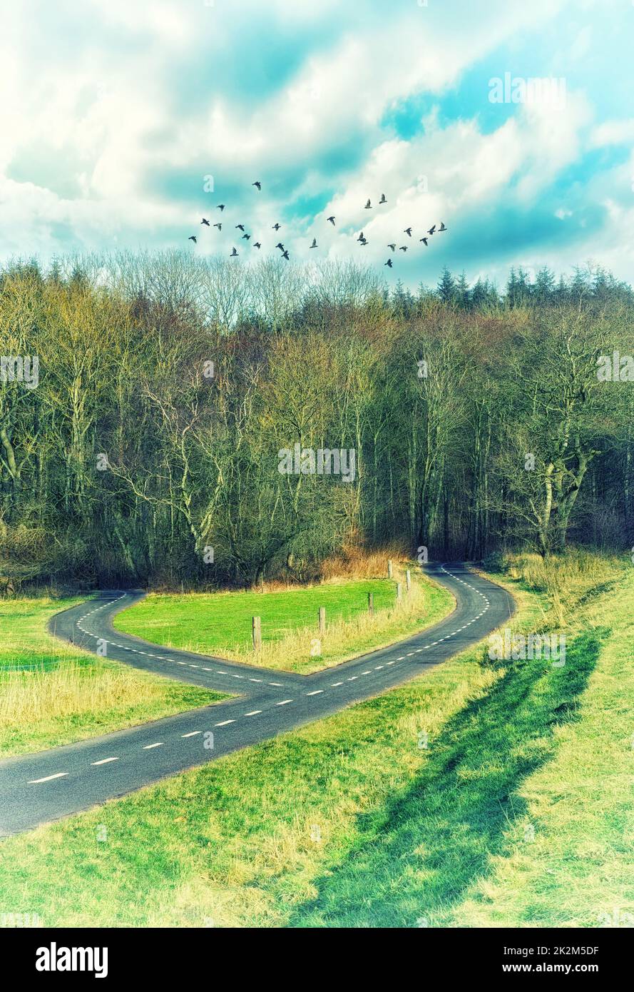 Two Roads Split Desktop