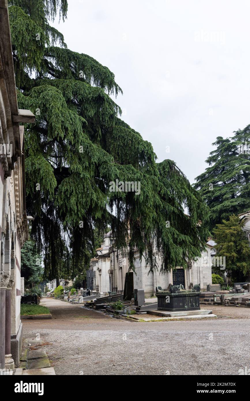 Monumental Cemetery of Milan (Cimitero Monumentale di Milano) is one of ...