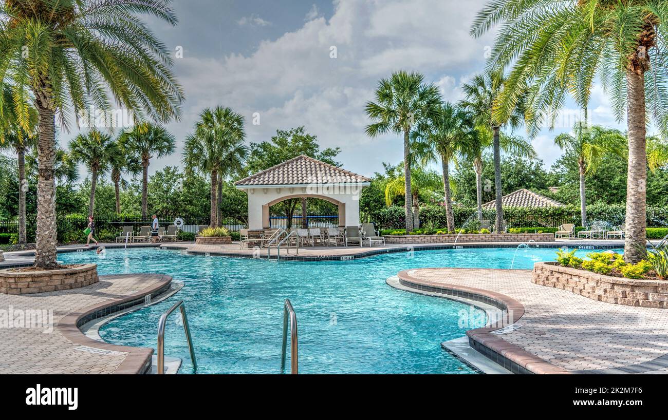 Beautiful swimming pool with palm trees hi-res stock photography and ...