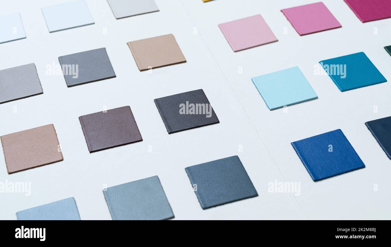 High quality sample book of vegetable tanned leather on black ...