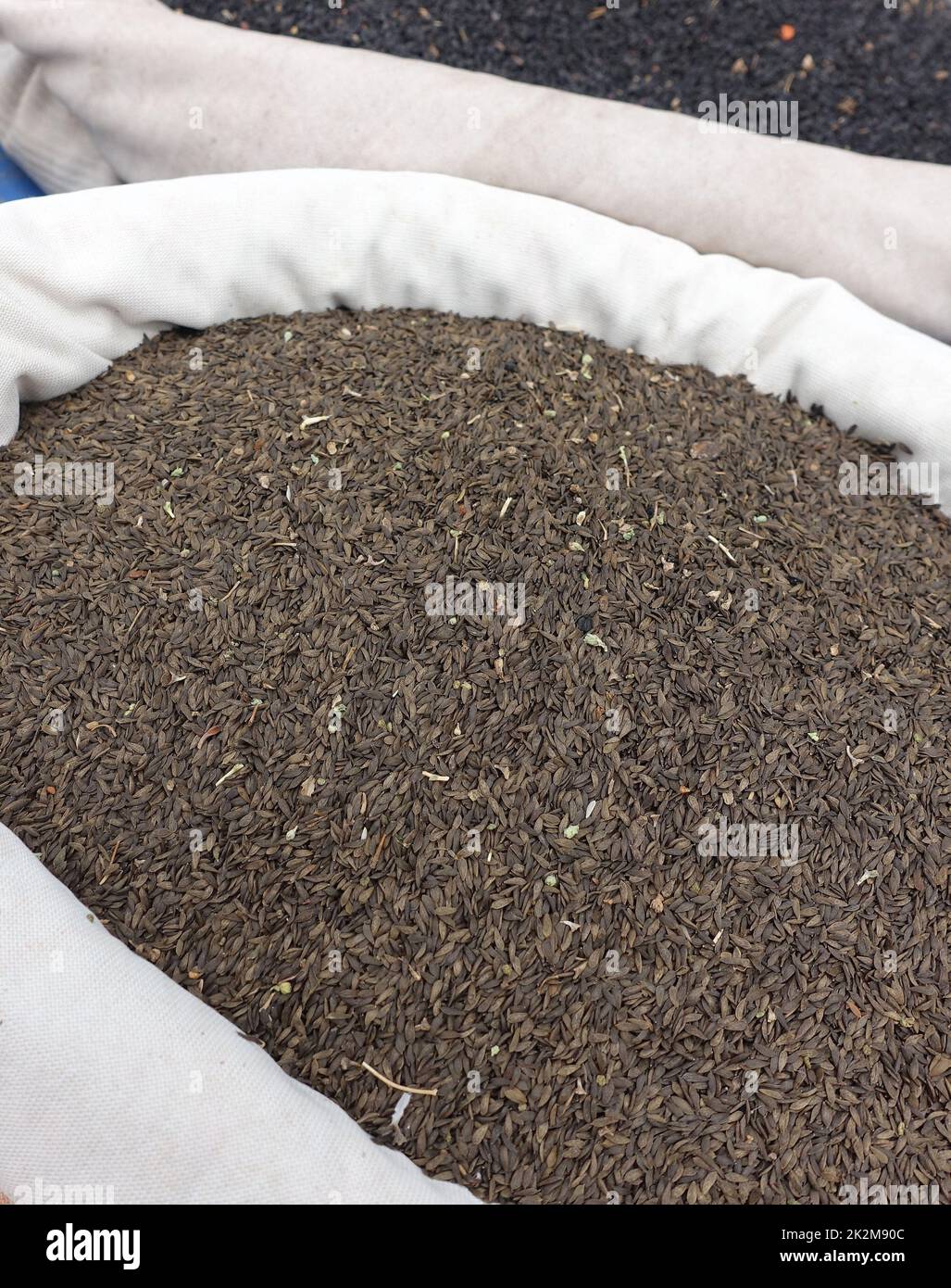 Parsley seed hi-res stock photography and images - Alamy