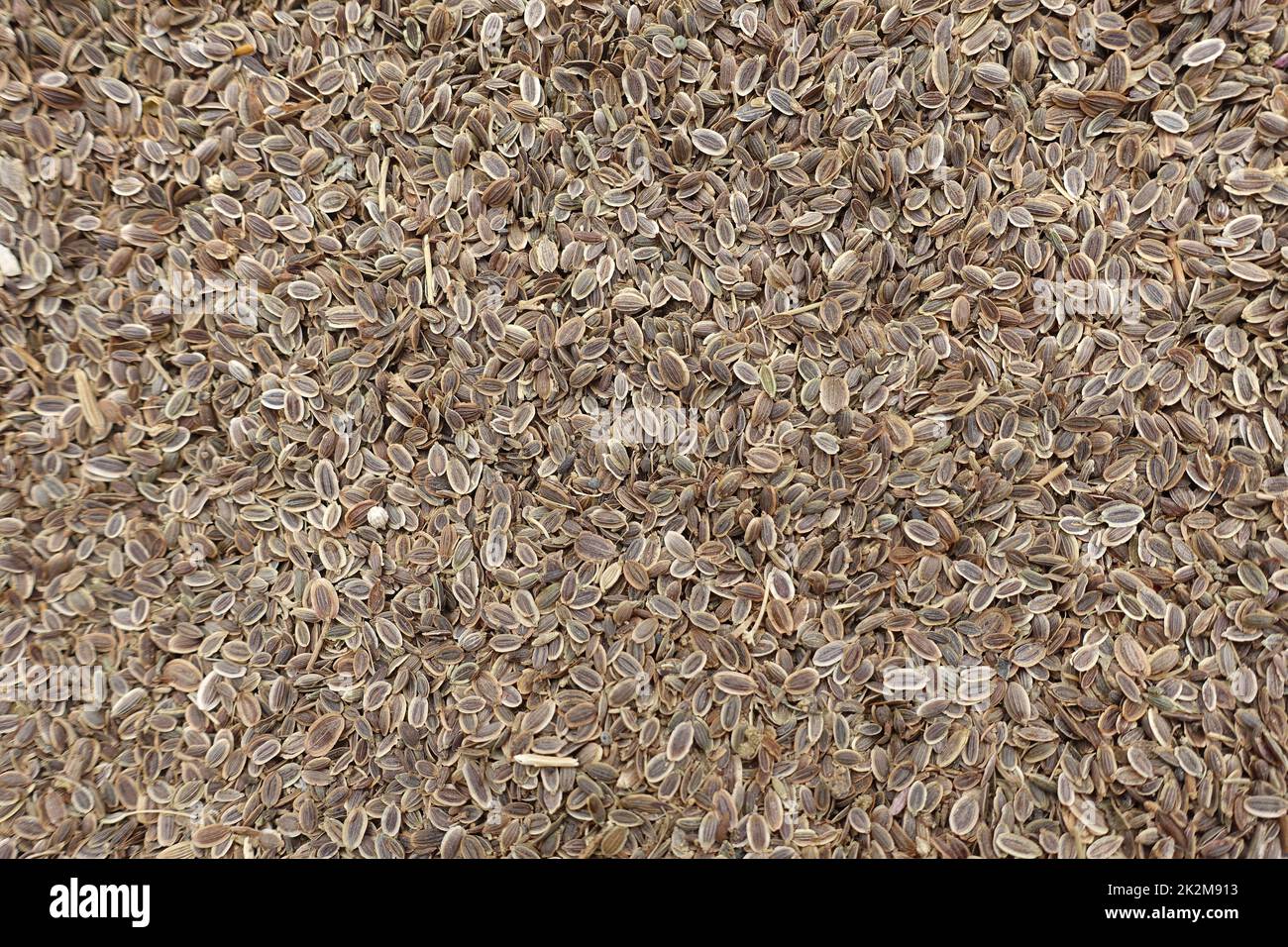 Unpackaged dill seeds sold in cloth bags at seed shops, a large amount ...