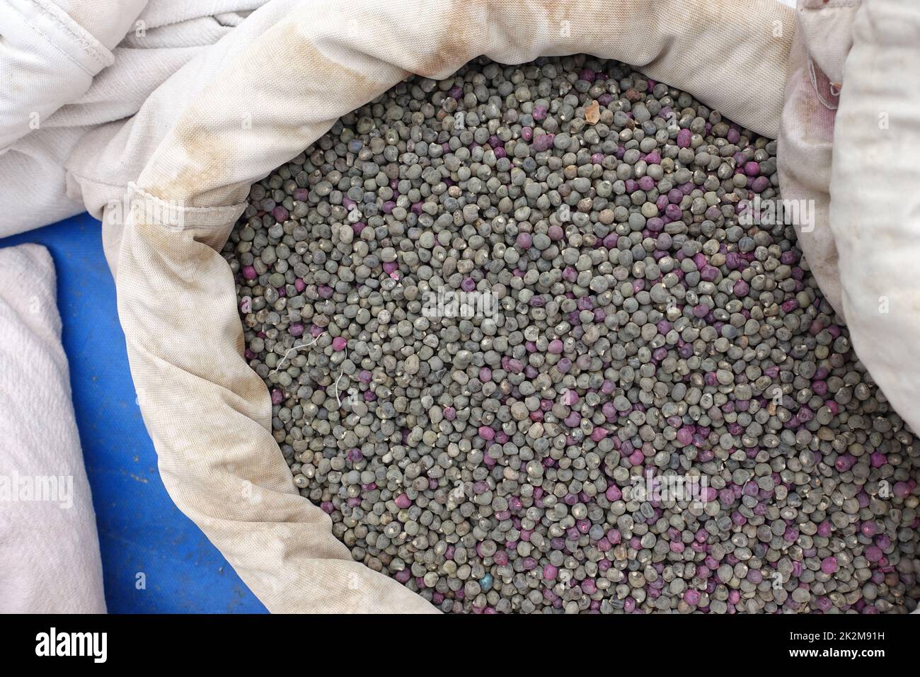 Unpackaged okra seeds sold in cloth bags in seed shops, a large amount ...