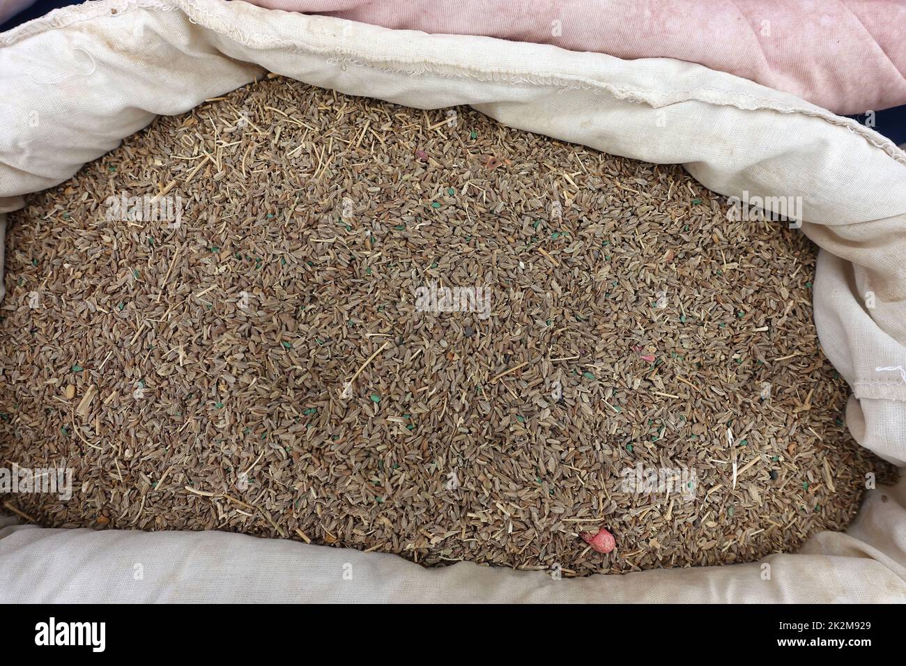 Seed seller selling unpackaged parsley seeds, organic seeds sold in ...