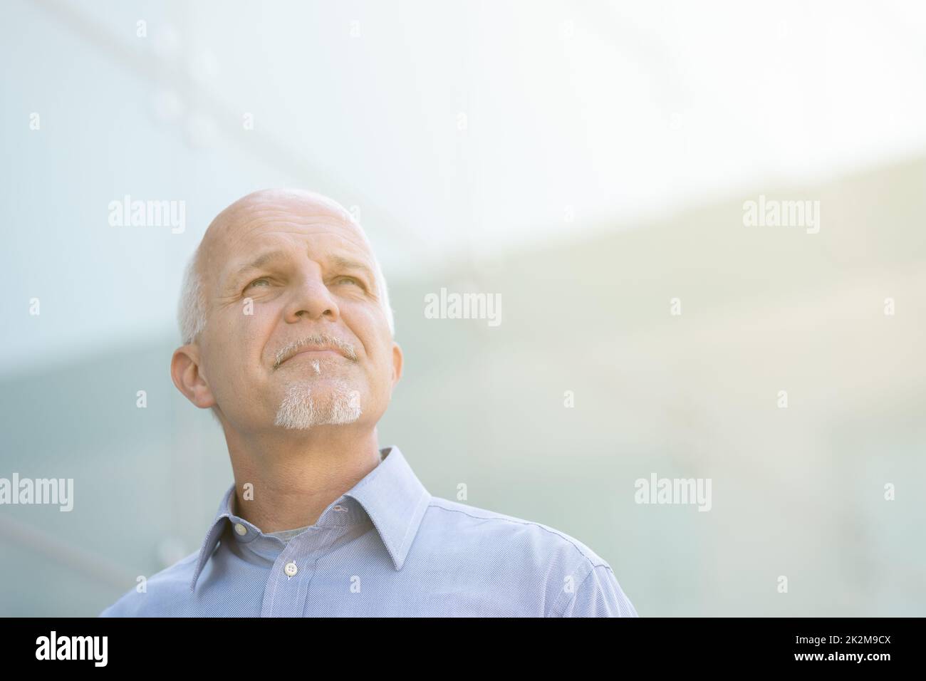 Distinguished looking man hi-res stock photography and images - Alamy