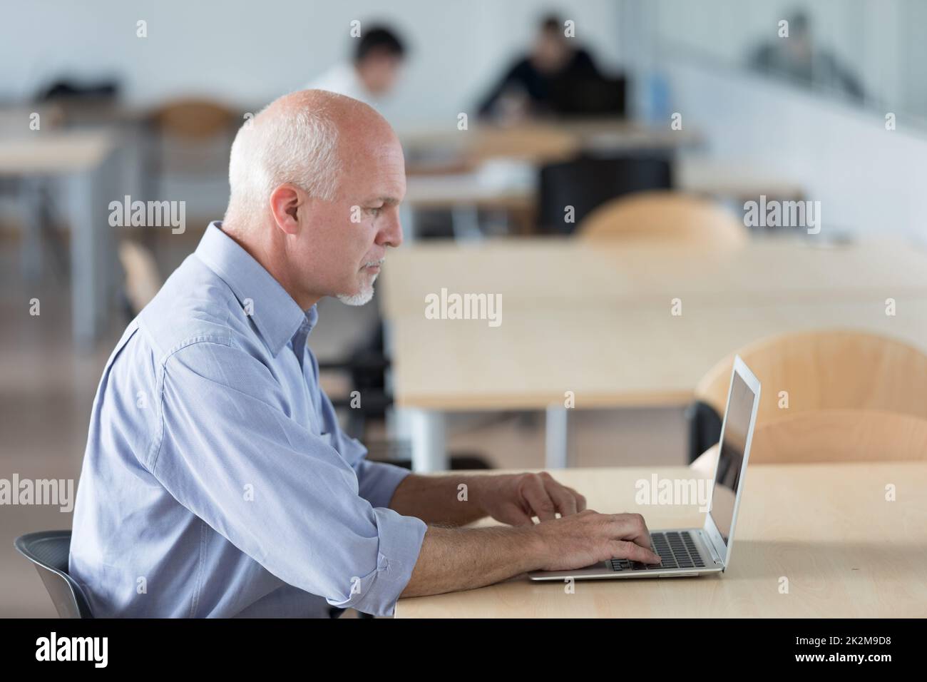 Senior businessman working in an open plan office Stock Photo - Alamy