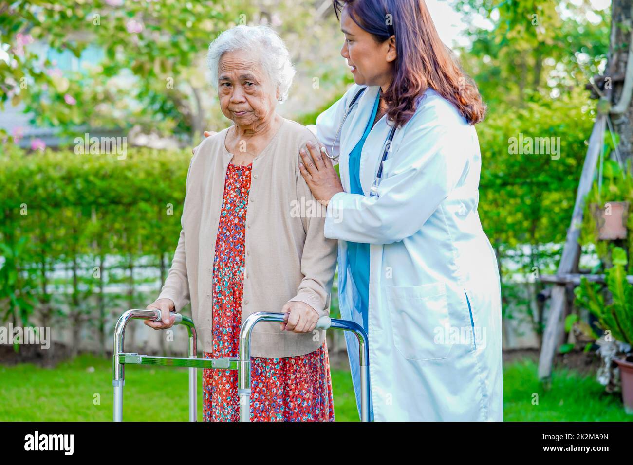 Doctor help Asian elderly woman disability patient walk with walker in ...