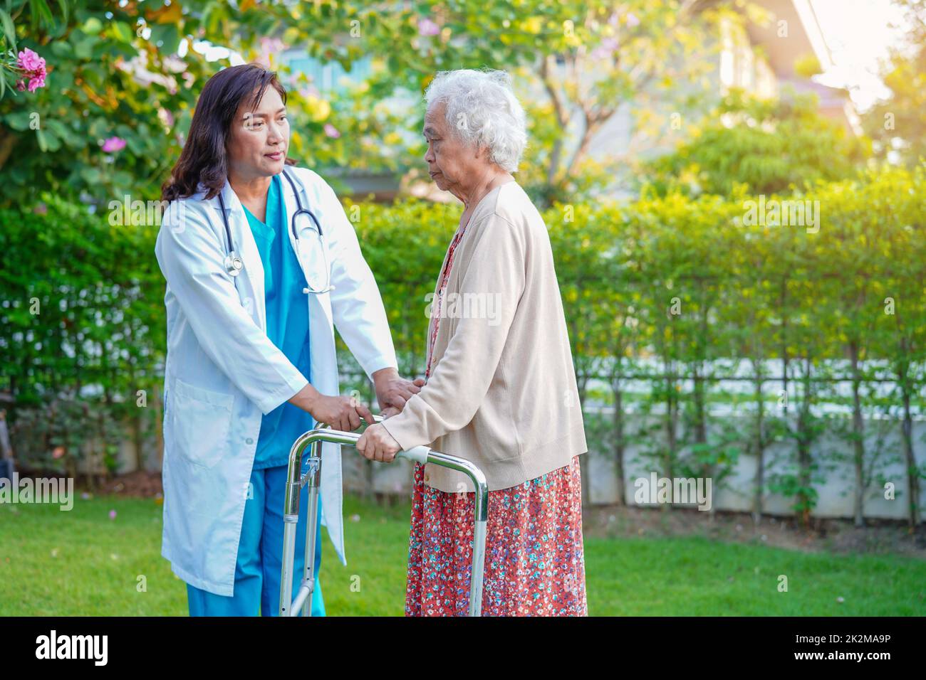 Doctor help Asian elderly woman disability patient walk with walker in park, medical concept ...