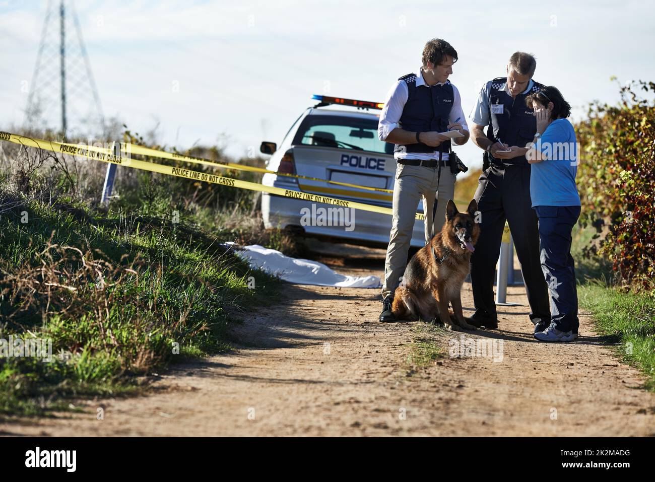 Crime scene forensics field hi-res stock photography and images - Alamy