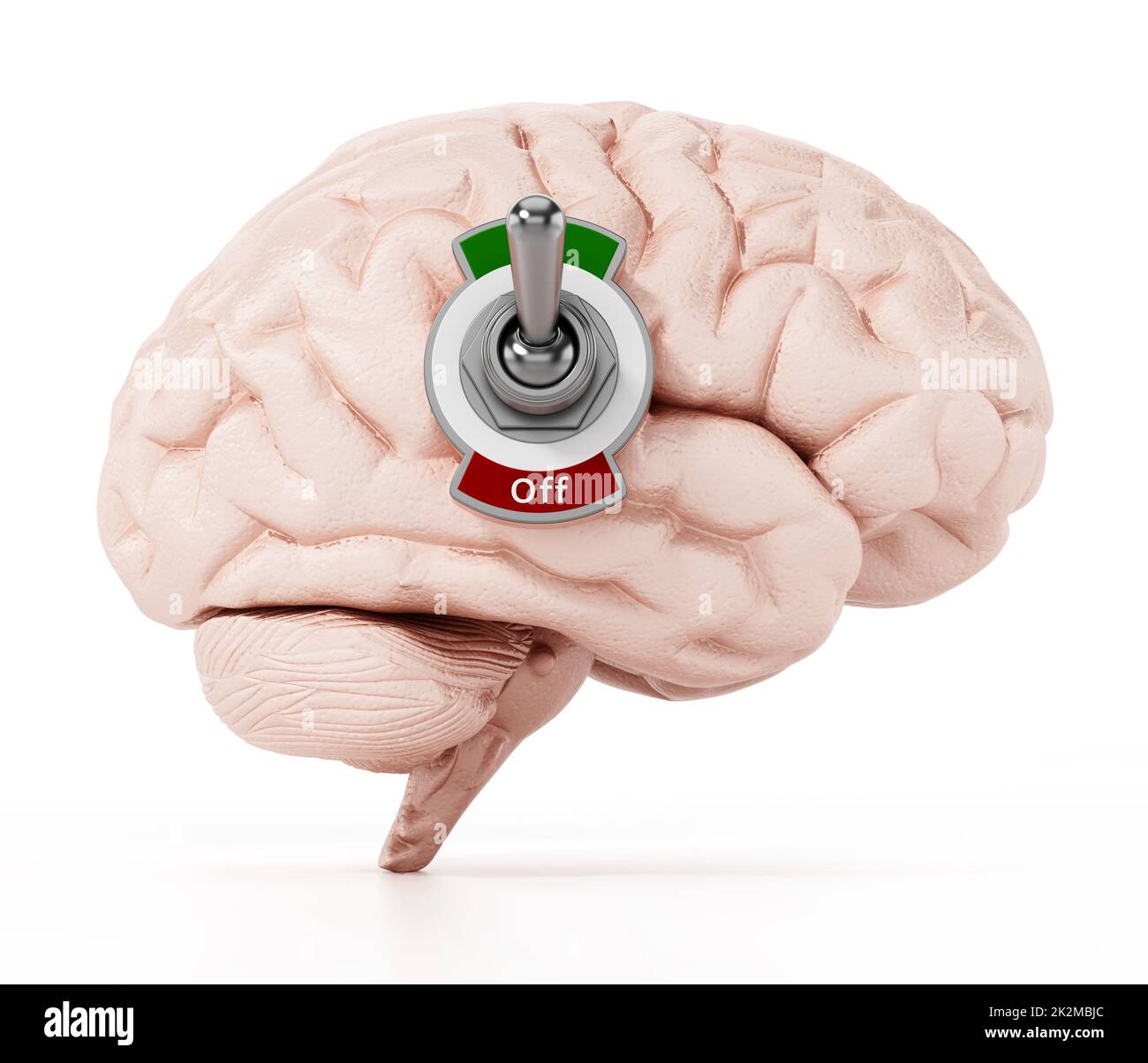 Human brain with on-off button isolated on white background. 3D ...