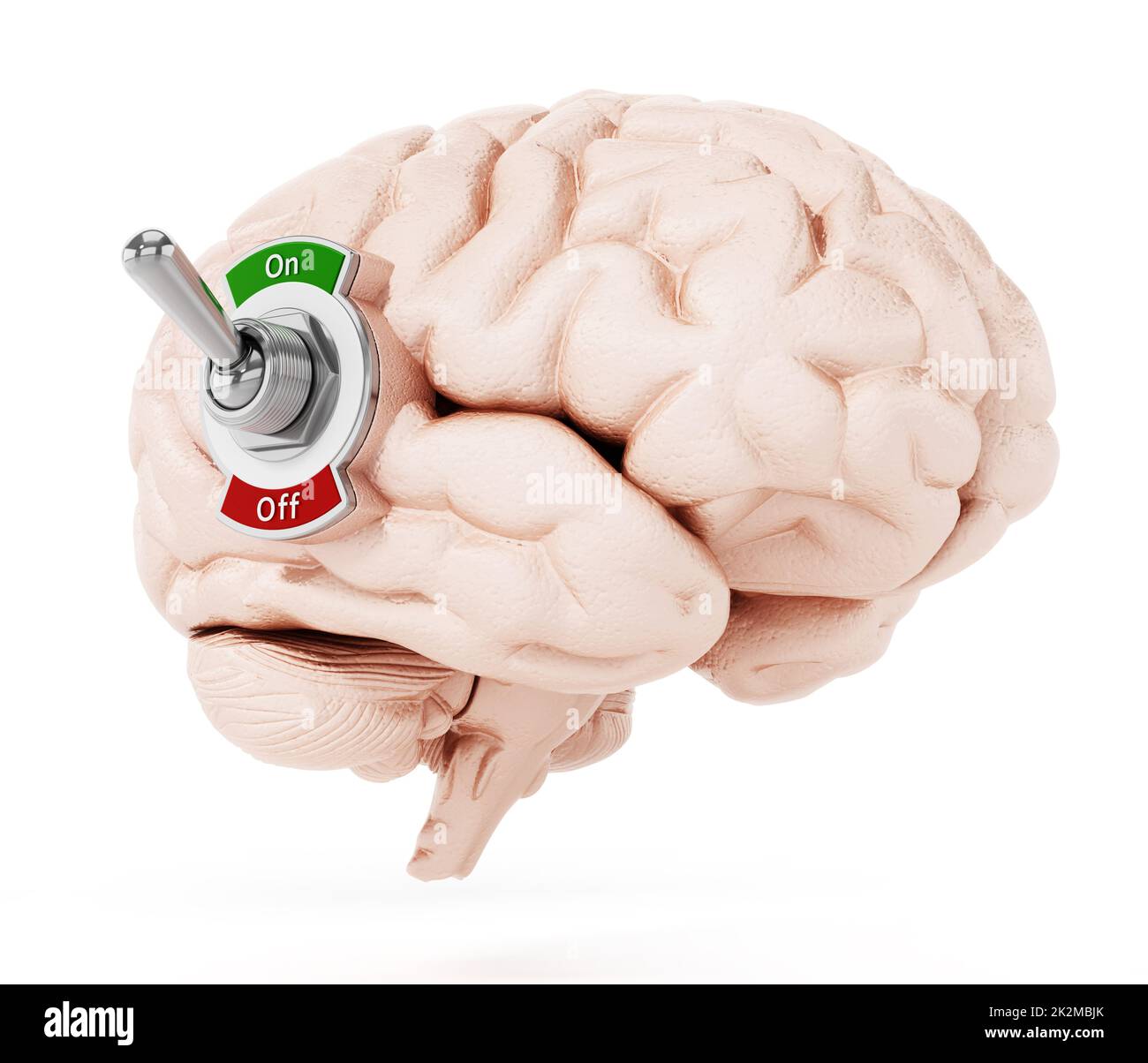 Human brain with on-off button isolated on white background. 3D ...