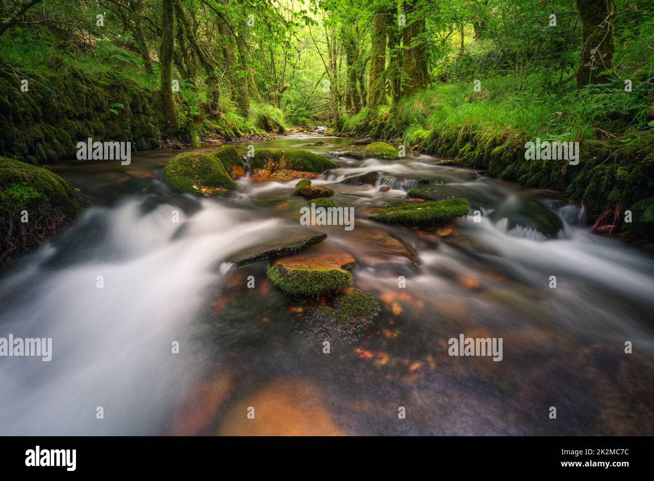 Orange shale rocks washed by the current in a stream in Courel ...