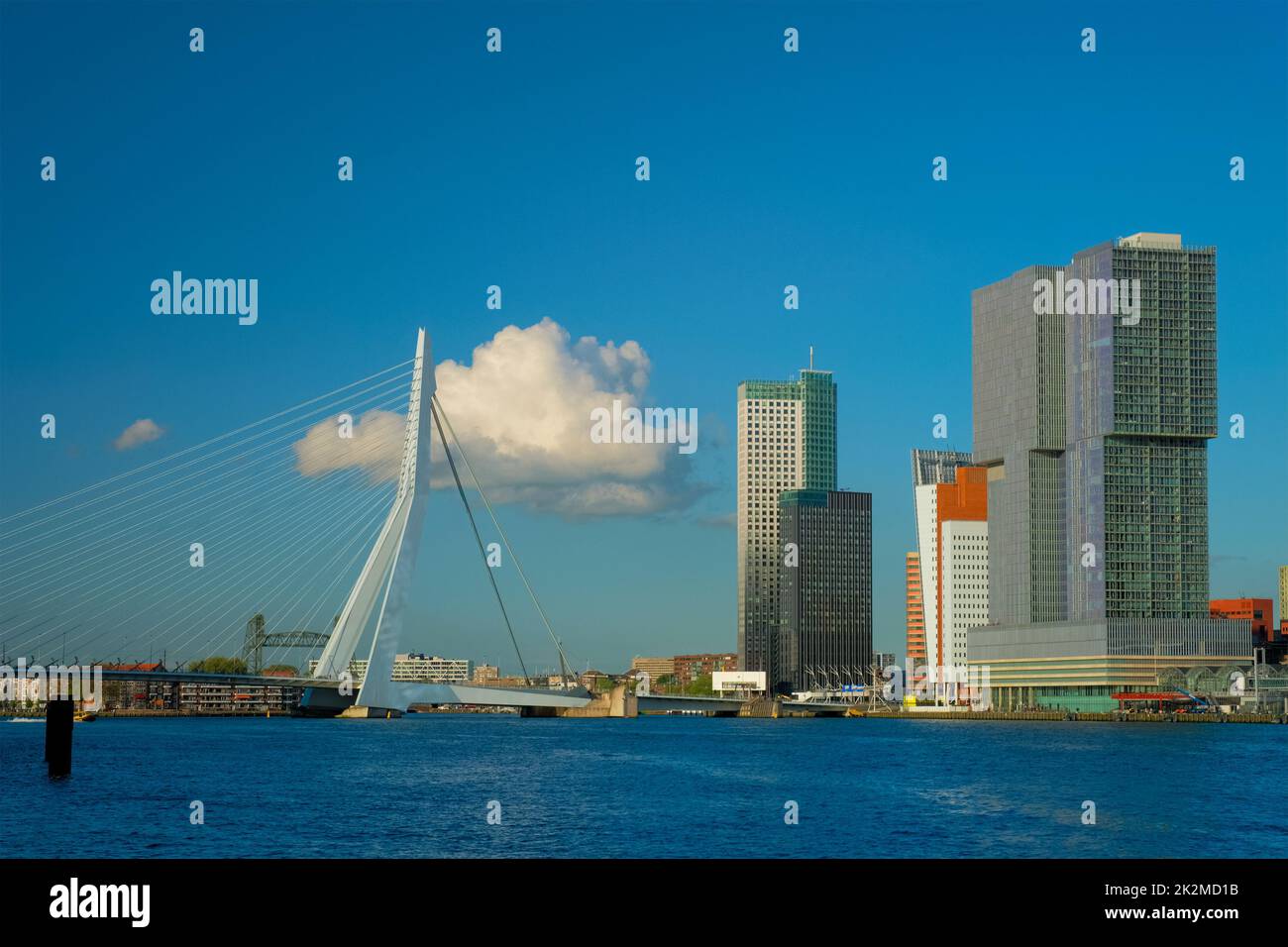 Rotterdam skyscrapers skyline and Erasmusbrug bridge over of Nieuwe ...