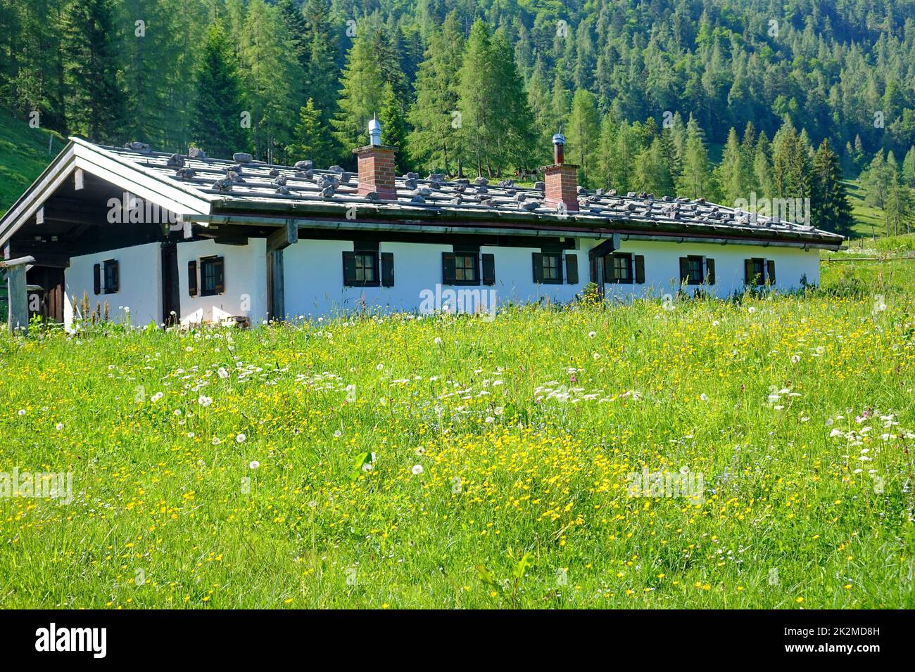 Bavaria, Chiemgau Alps, alpine hut, flower meadow Stock Photo - Alamy