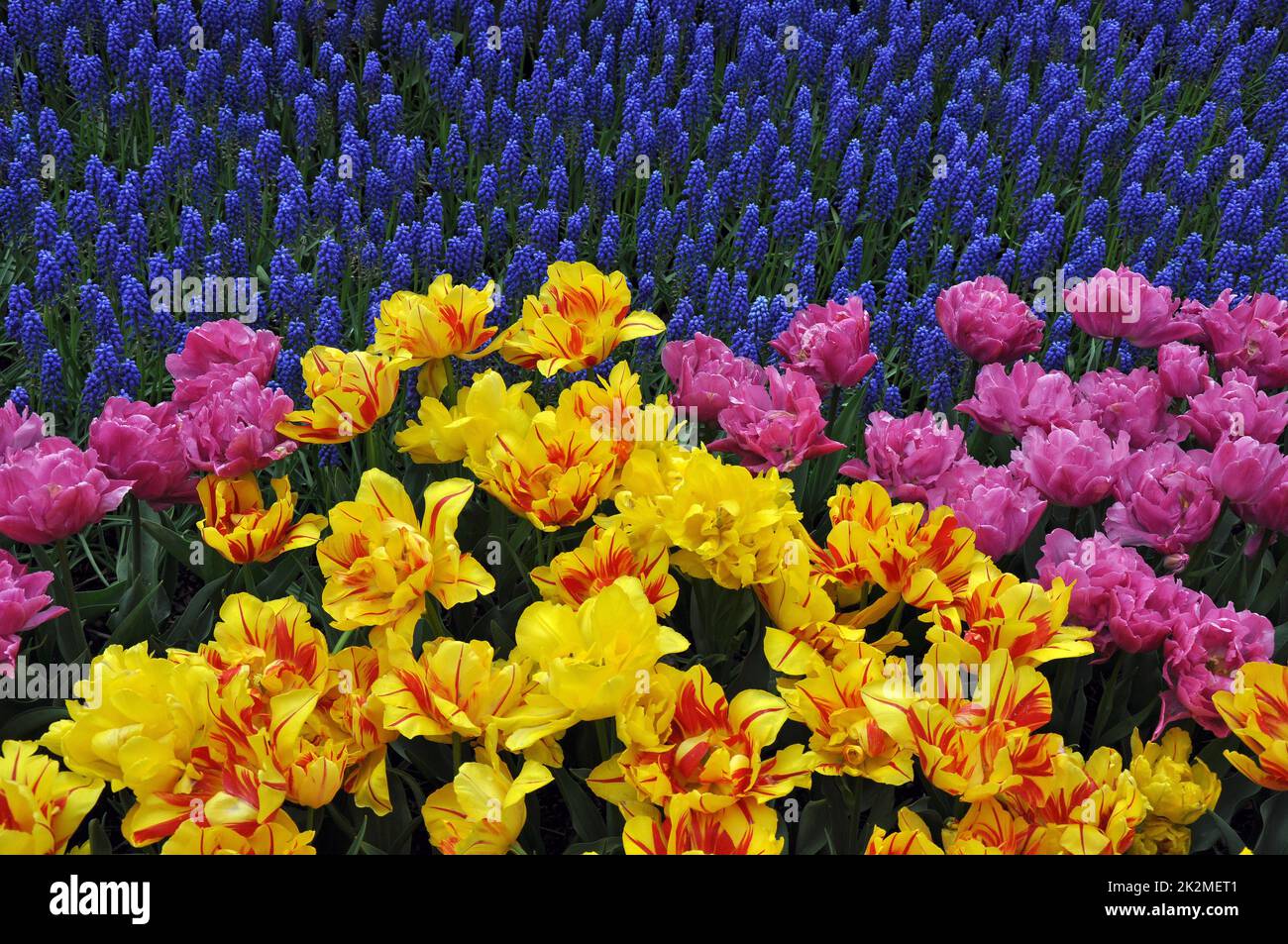 Spring colors hi-res stock photography and images - Alamy