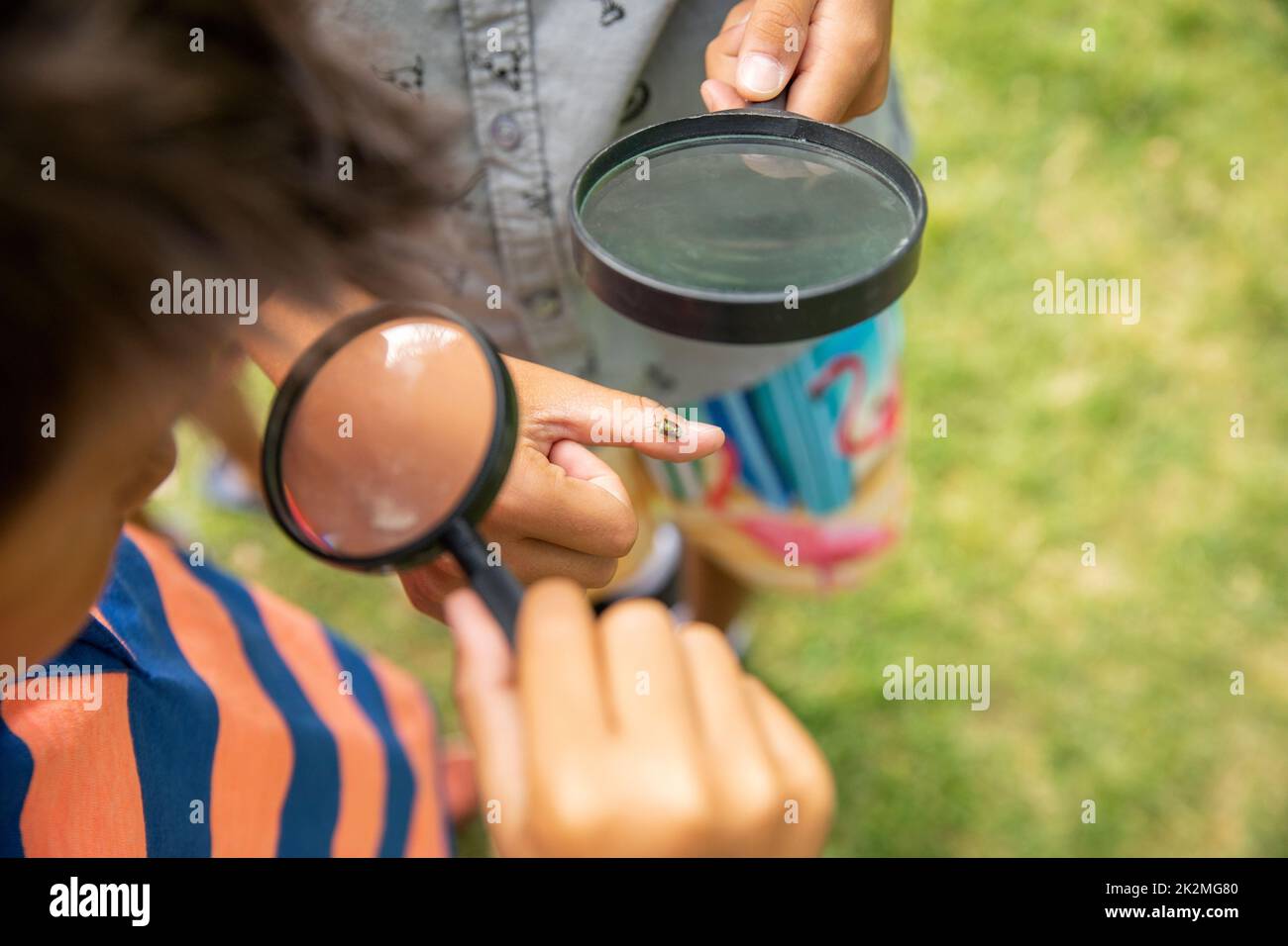 Magnifying glass insect boy hi-res stock photography and images - Alamy