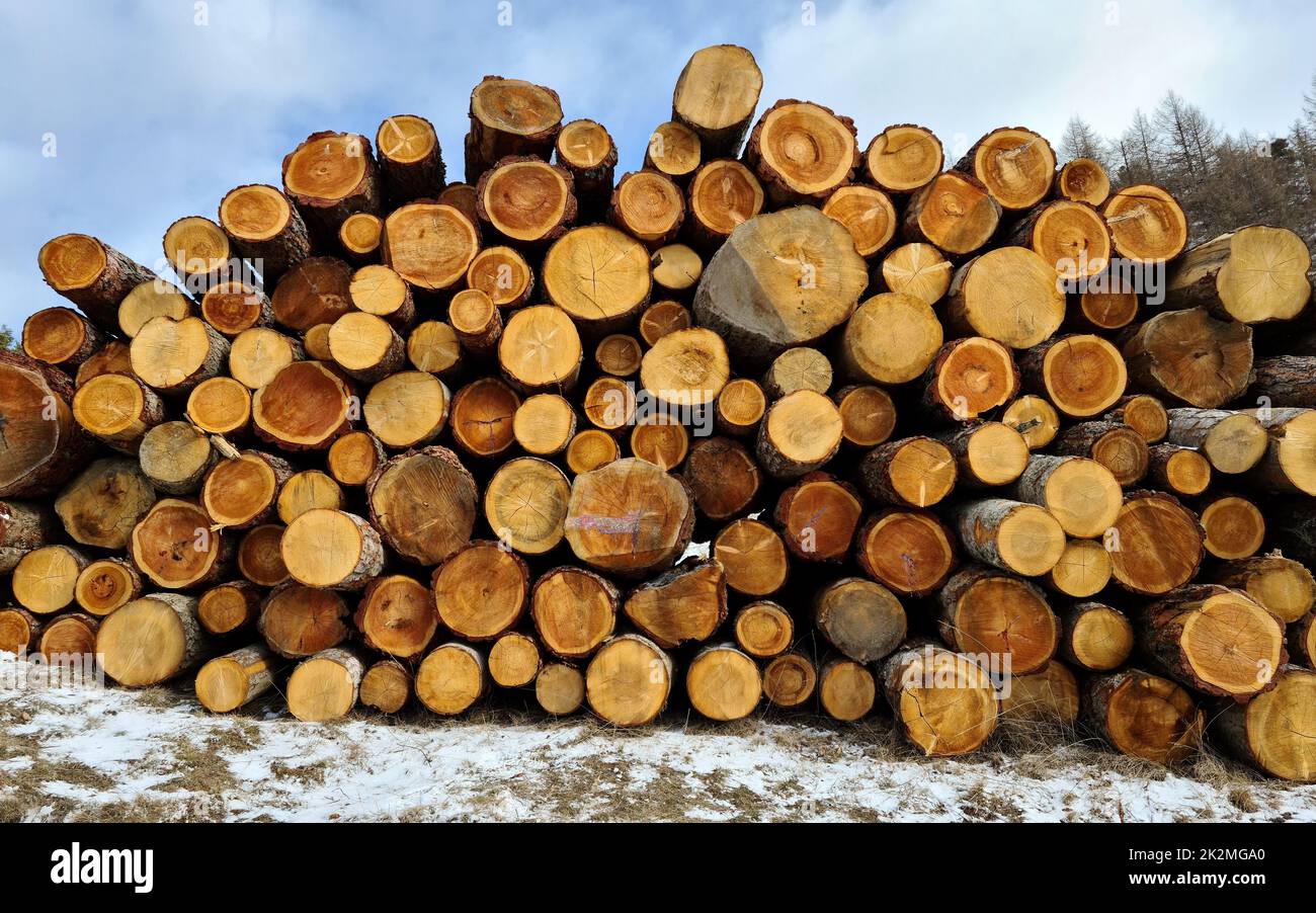 Alpine woods hi-res stock photography and images - Alamy