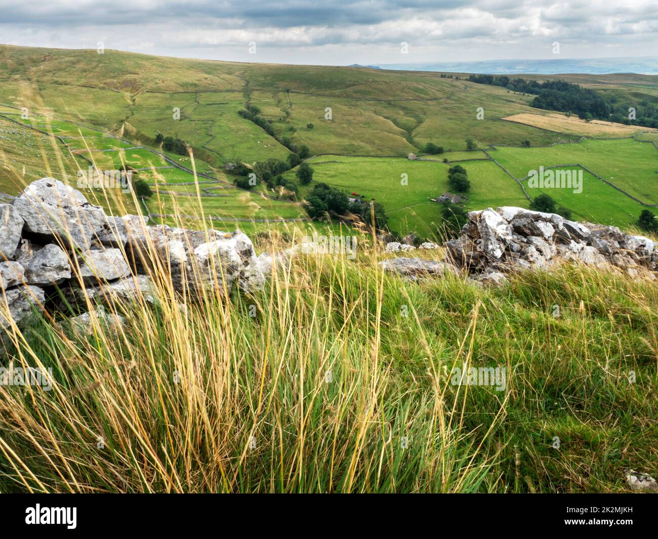 Long grass blowing in the wind by an old dry stone wall above Gordale ...