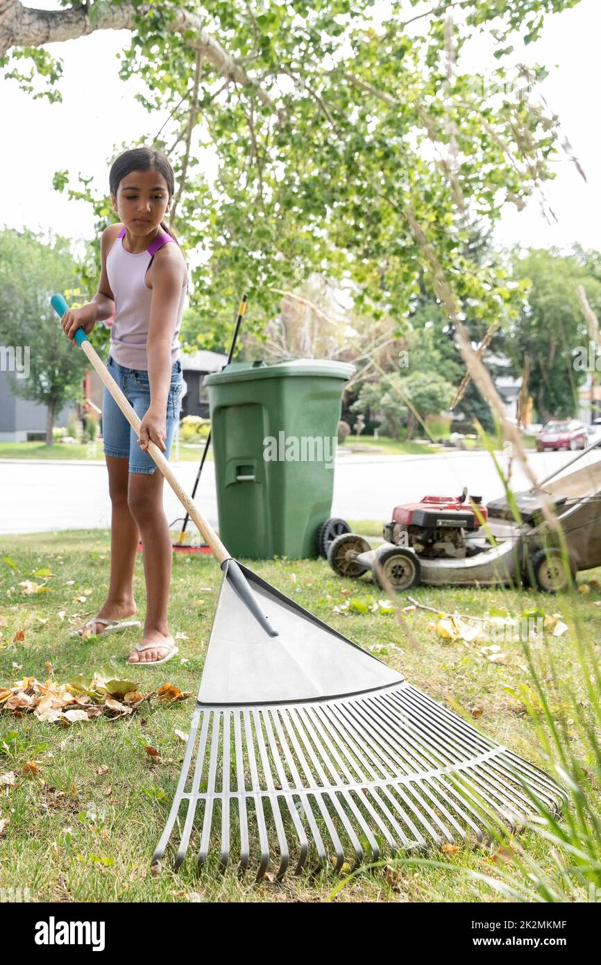 Rake leaves summer hi-res stock photography and images - Alamy