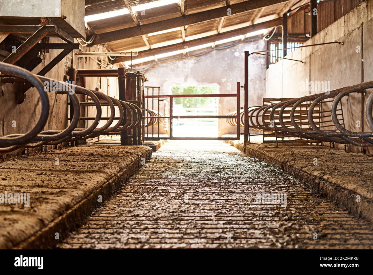 Inside empty dairy barn hi-res stock photography and images - Alamy
