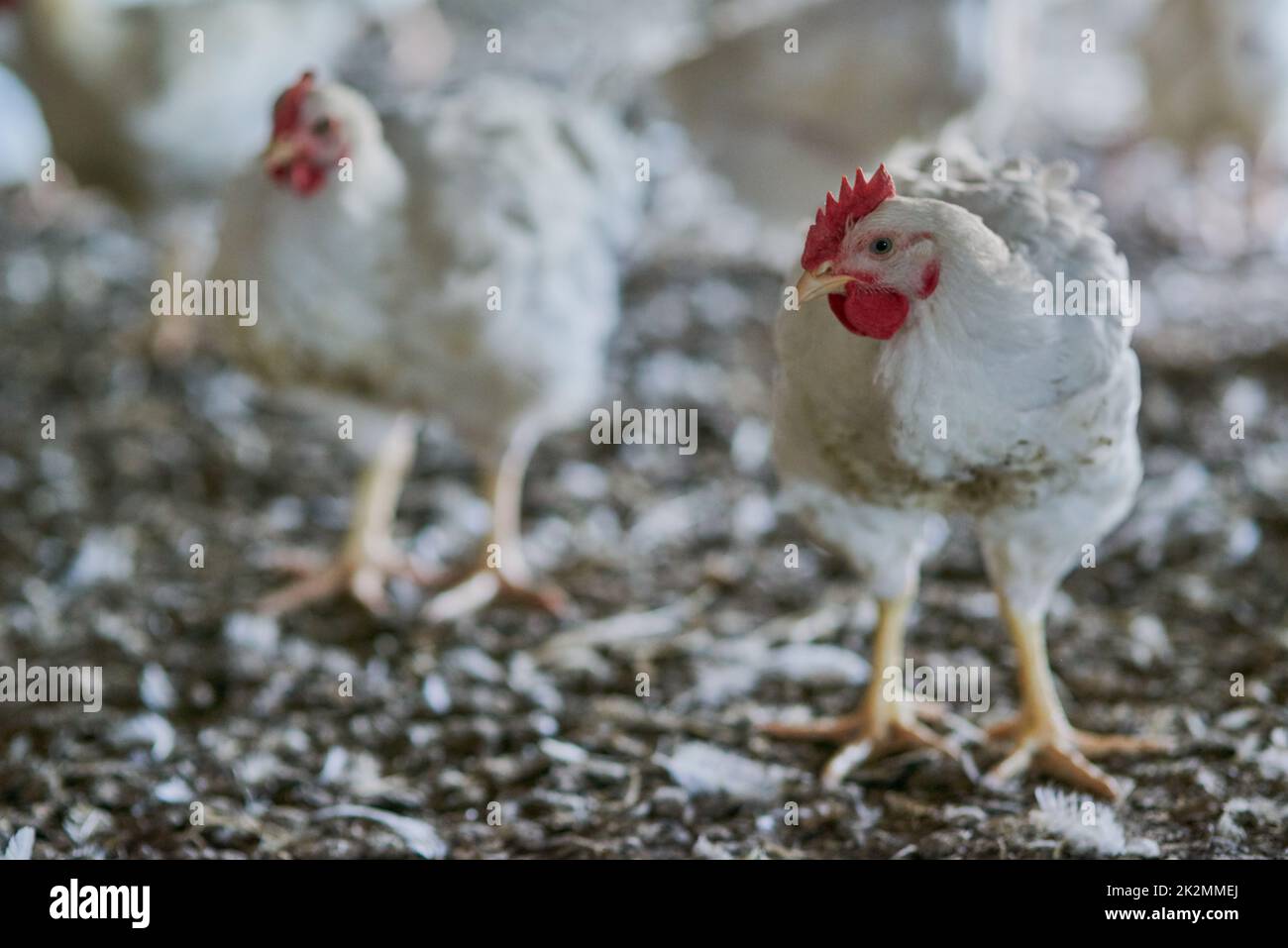 Aerial shot farm hi-res stock photography and images - Alamy