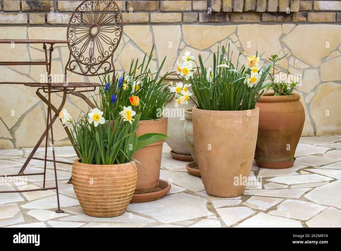clay pots with spring flowers Stock Photo - Alamy