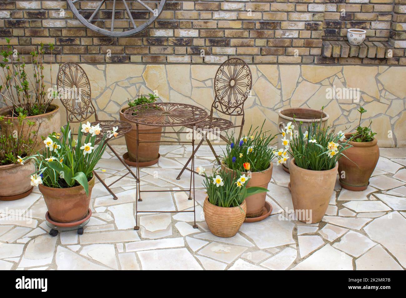 clay pots with spring flowers Stock Photo - Alamy