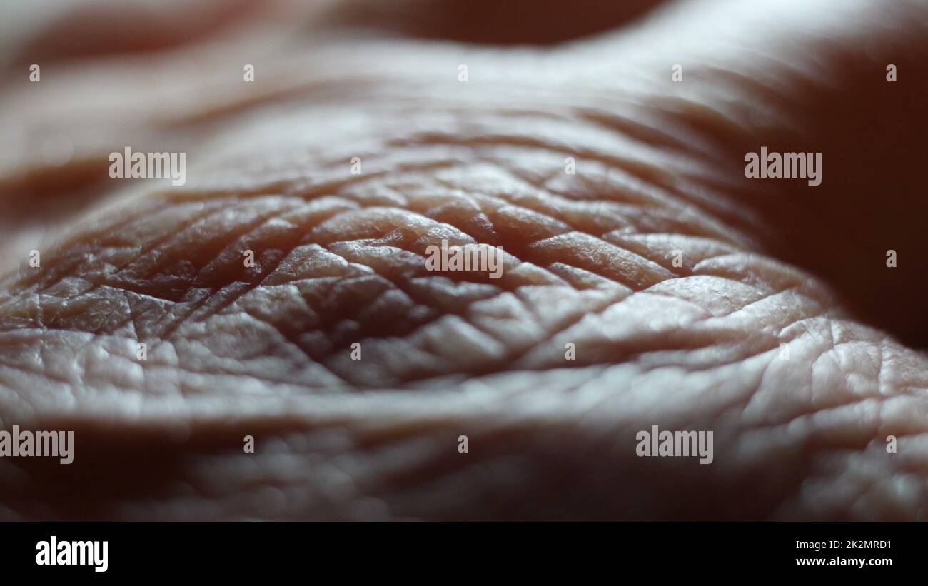 Close up of human skin Stock Photo - Alamy