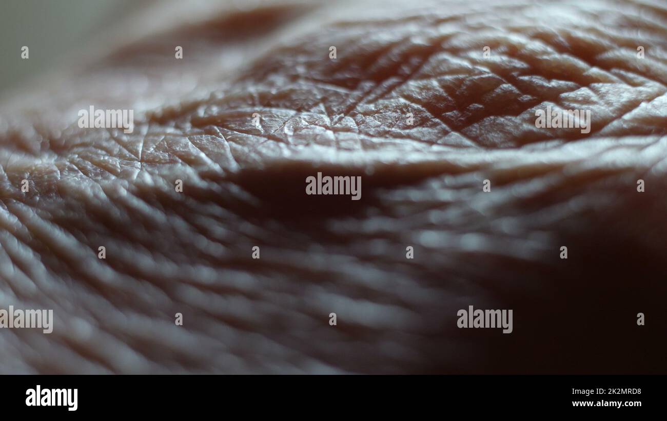 Human skin structure hi-res stock photography and images - Alamy