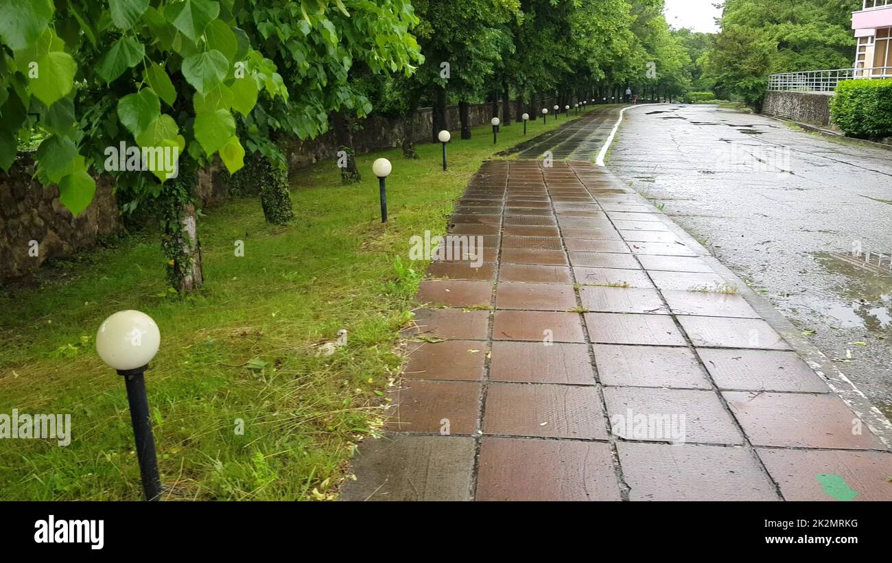 sidewalk with concrete slabs wet from the rain, lanterns and trees ...