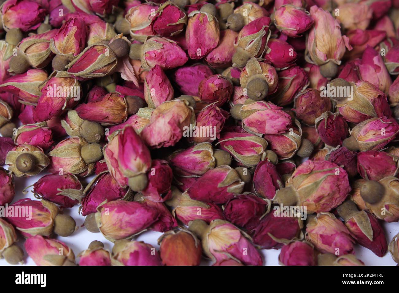 Rosebud close up hi-res stock photography and images - Alamy
